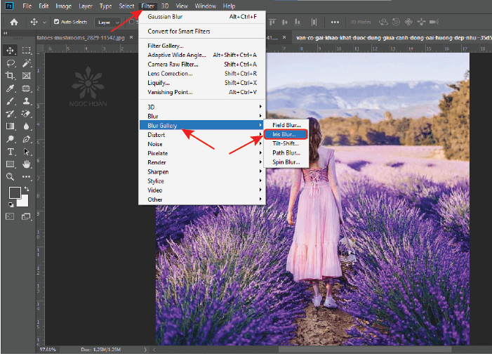 Top 5 Cách làm mờ ảnh trong Photoshop thường dùng nhất